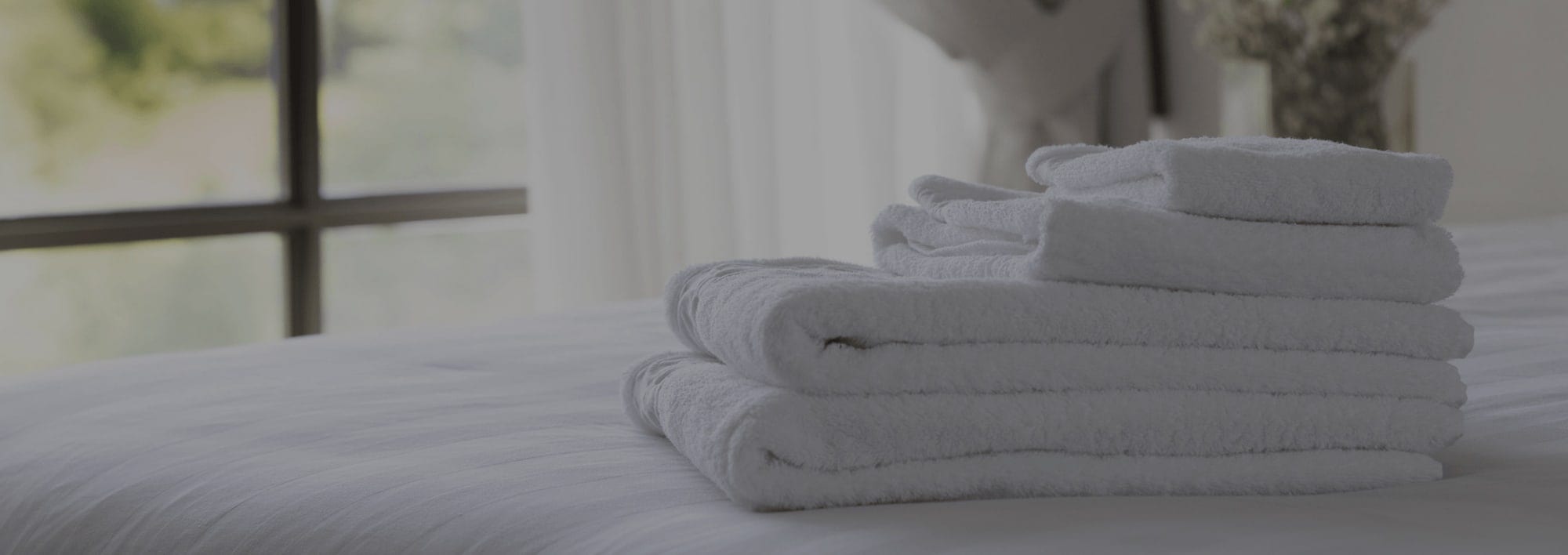 myPro - The perfect laundry solution for small businesses - Electrolux ...