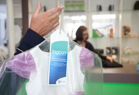 Pressing Lagoon | Electrolux Professional France