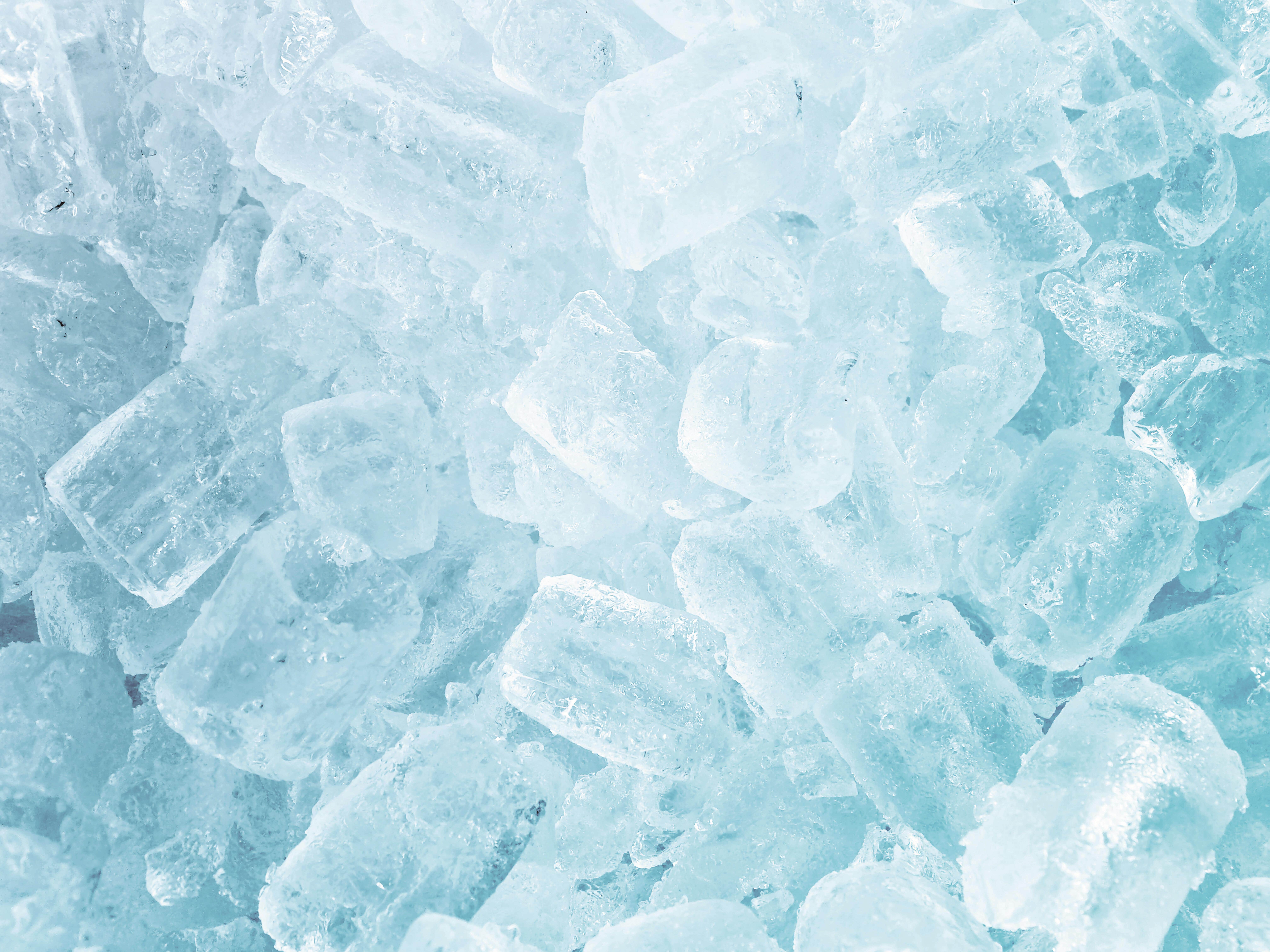 Cuisine professionnelle : l’optimisation de la chaîne du froid | Blog ...