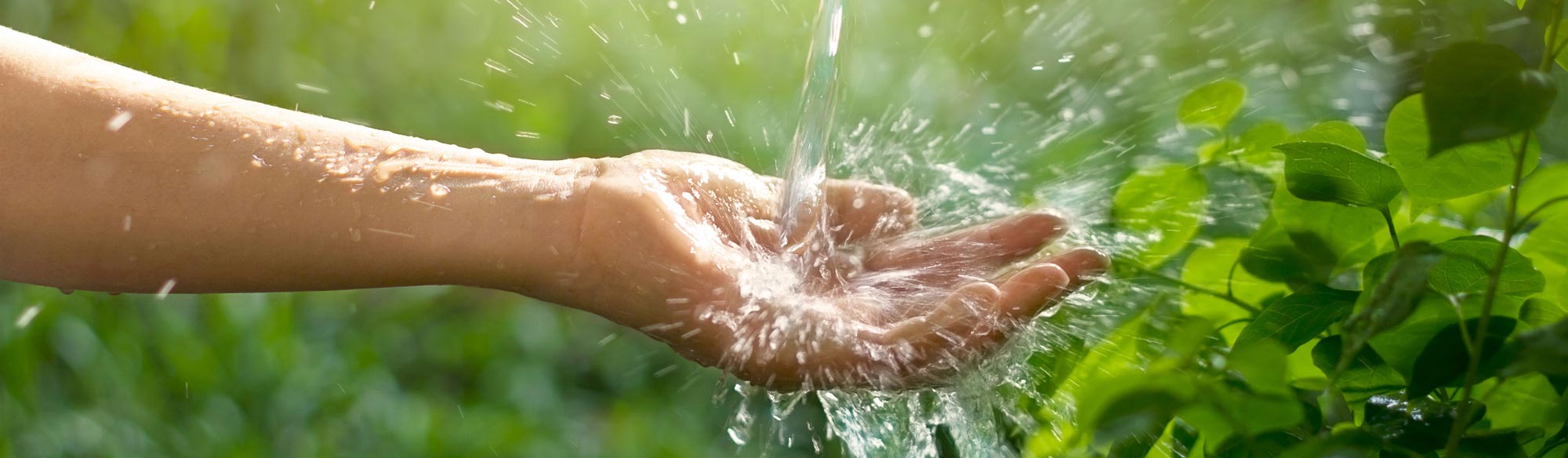 Five ways your business can reduce water consumption this World Water ...
