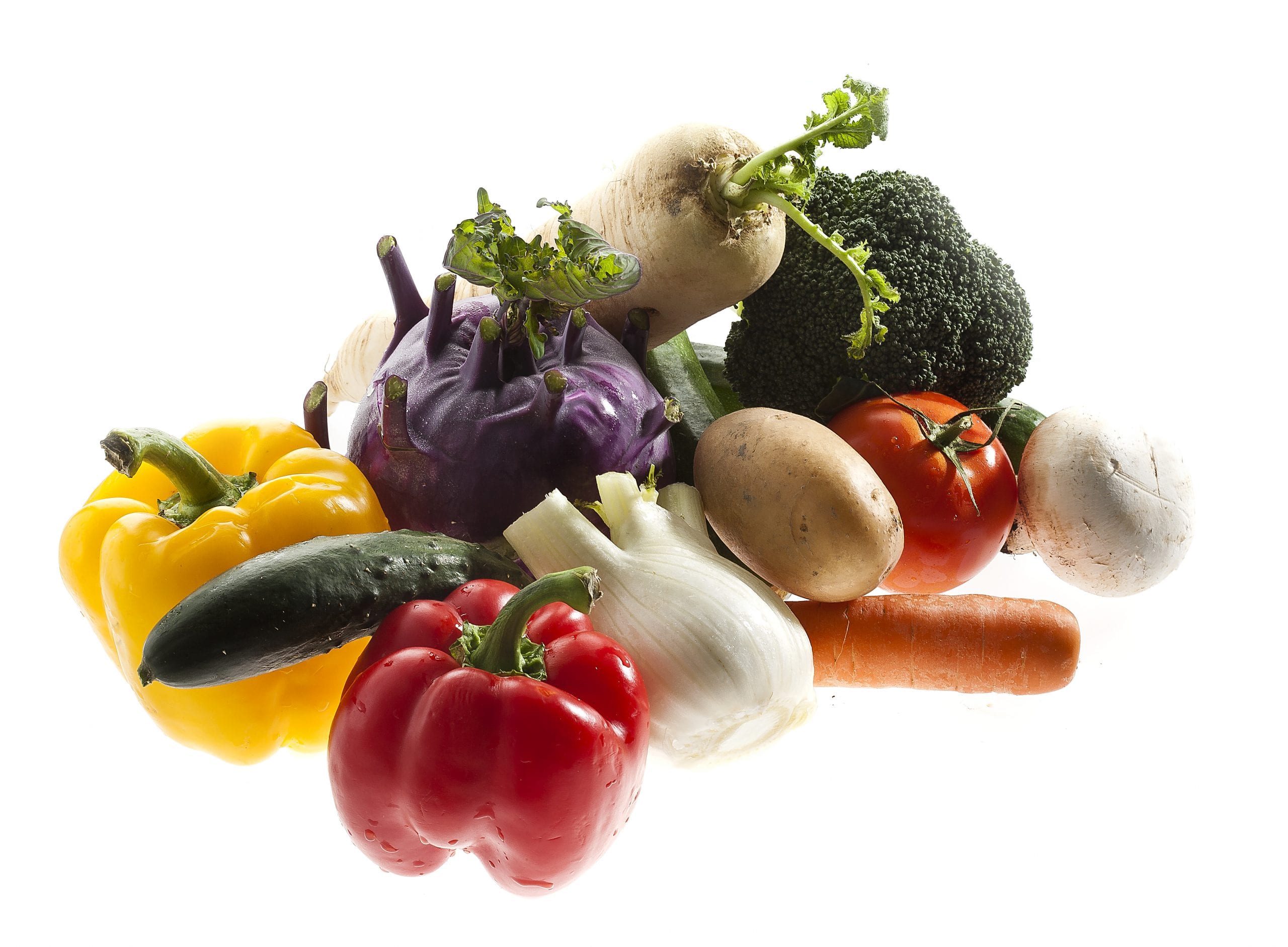 Bermixer Pro Immersion Blenders/Portable Mixers | Electrolux Professional