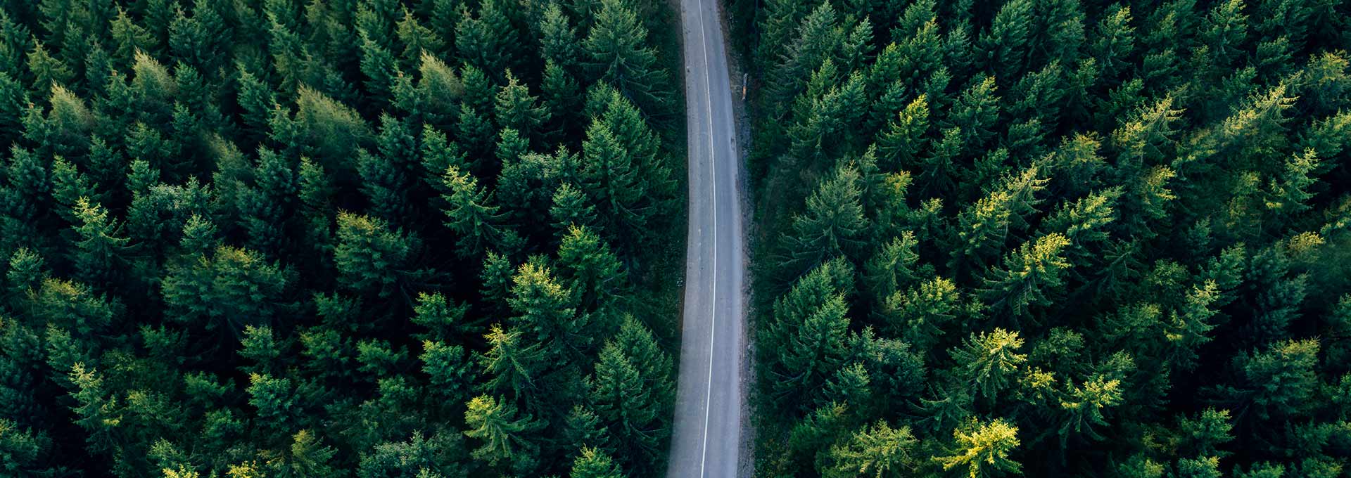 Banner-Master-Slide-1920x680-gas - Electrolux Professional North America