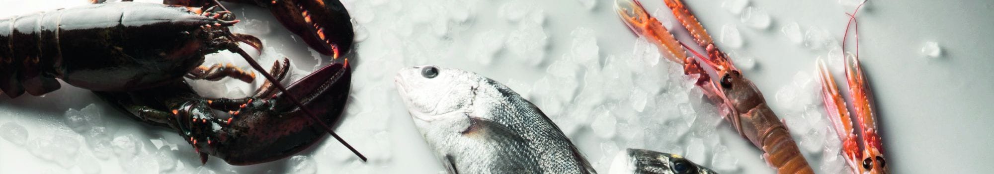 Anisakis in raw fish: how to avoid it | Electrolux Professional